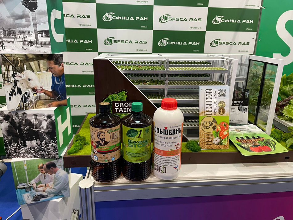 «Иван Овсинский» и его вклад в российское земледелие - Новая Сибирь online